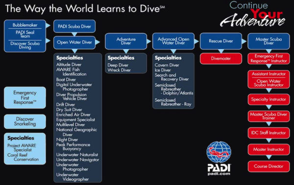 Why Become A PADI Instructor After COVID? - Ocean Divers