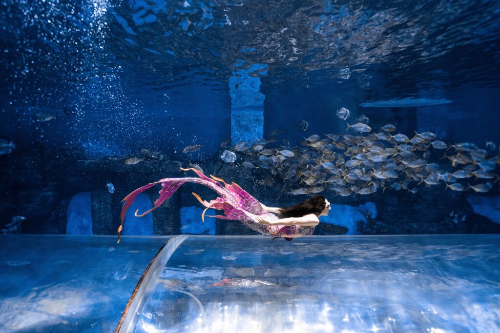 Melbourne PADI Mermaid Series Course - I became a real mermaid! - Ocean ...