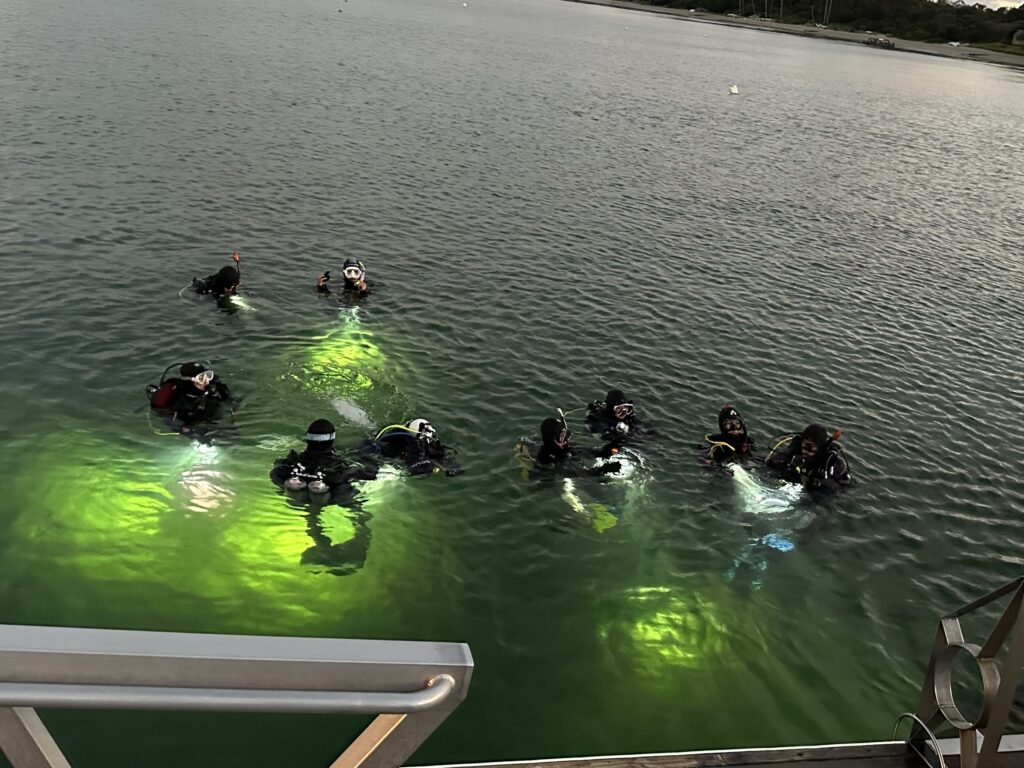 Your Complete Guide to Obtaining a Scuba Diving Certification - Ocean ...