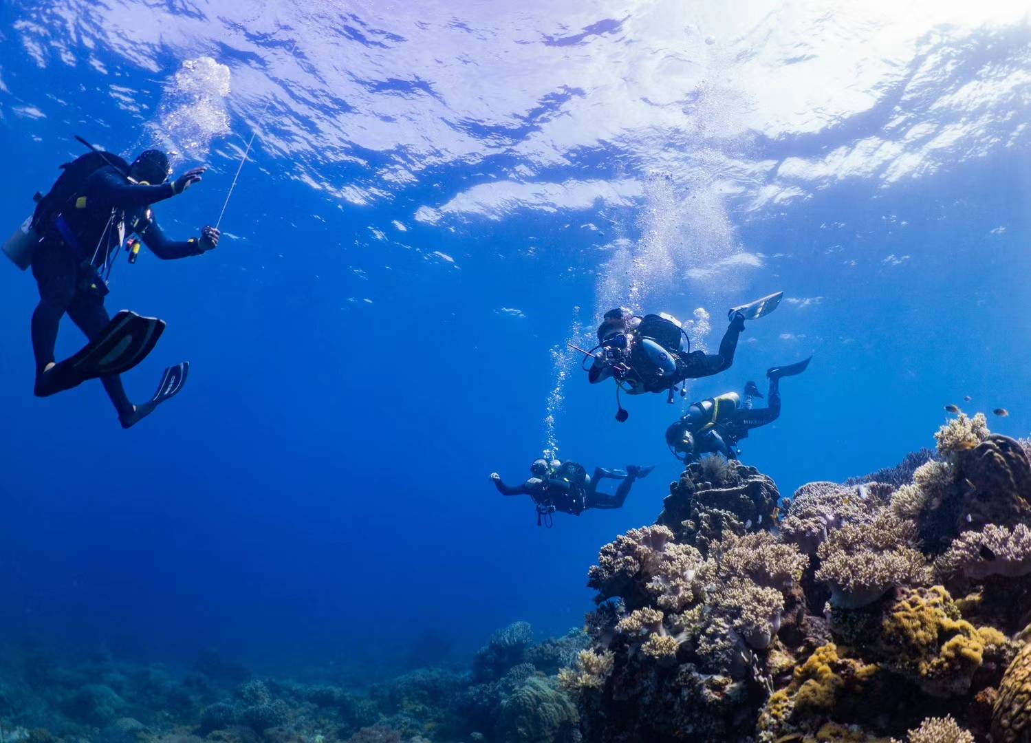 Buddy Separation: What To Do and How To Prevent? - Ocean Divers, Melbourne