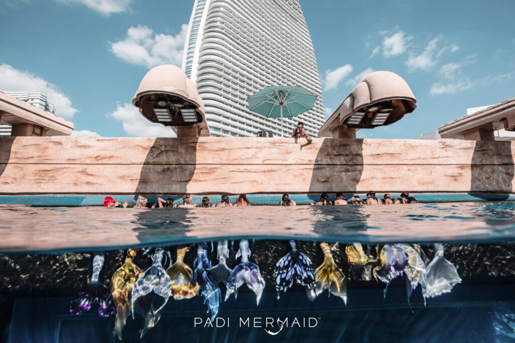 PADI Mermaid Instructor Development Course - Ocean Divers Melbourne